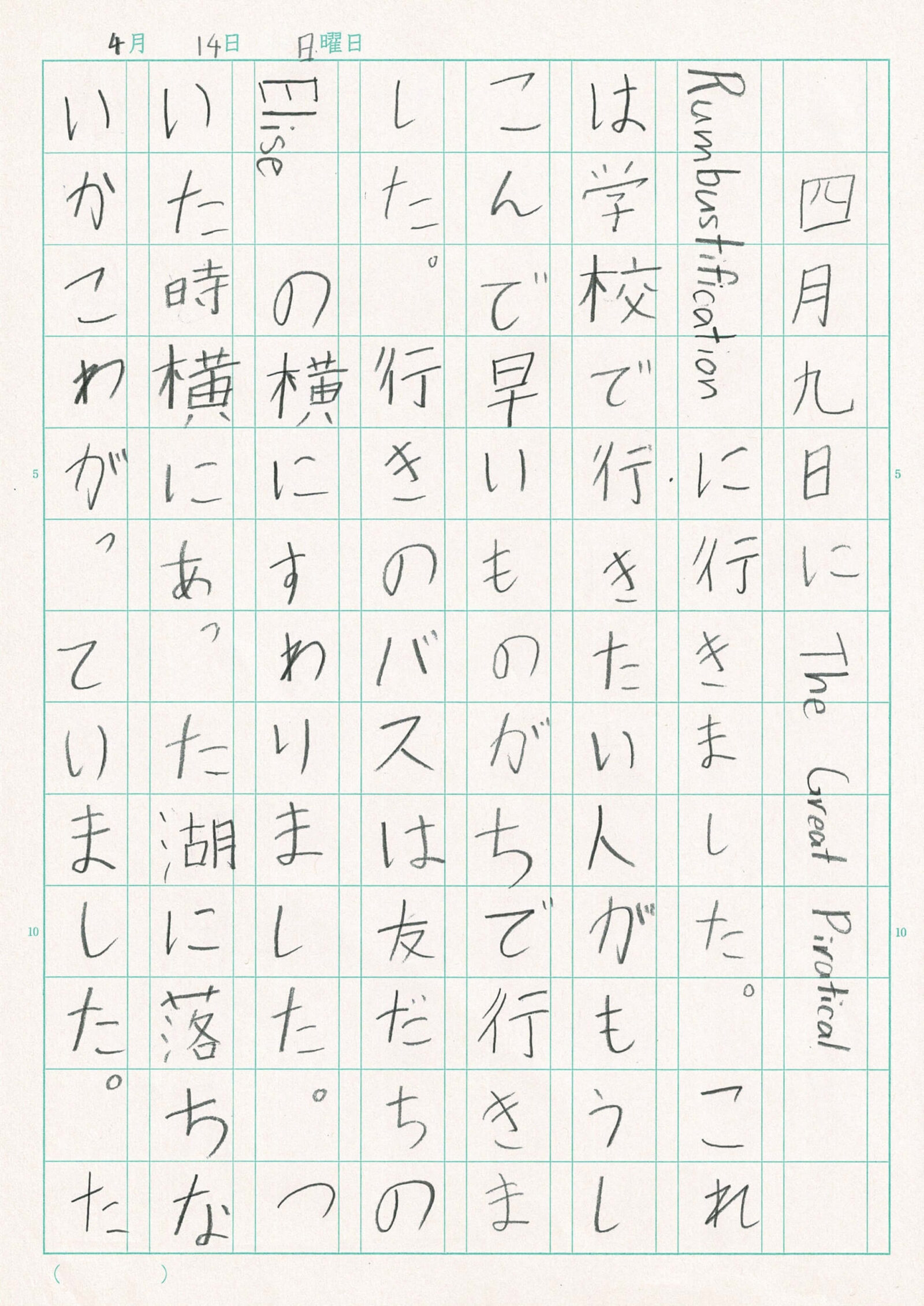 The Great Piratical Rumbustification - NZY Diary